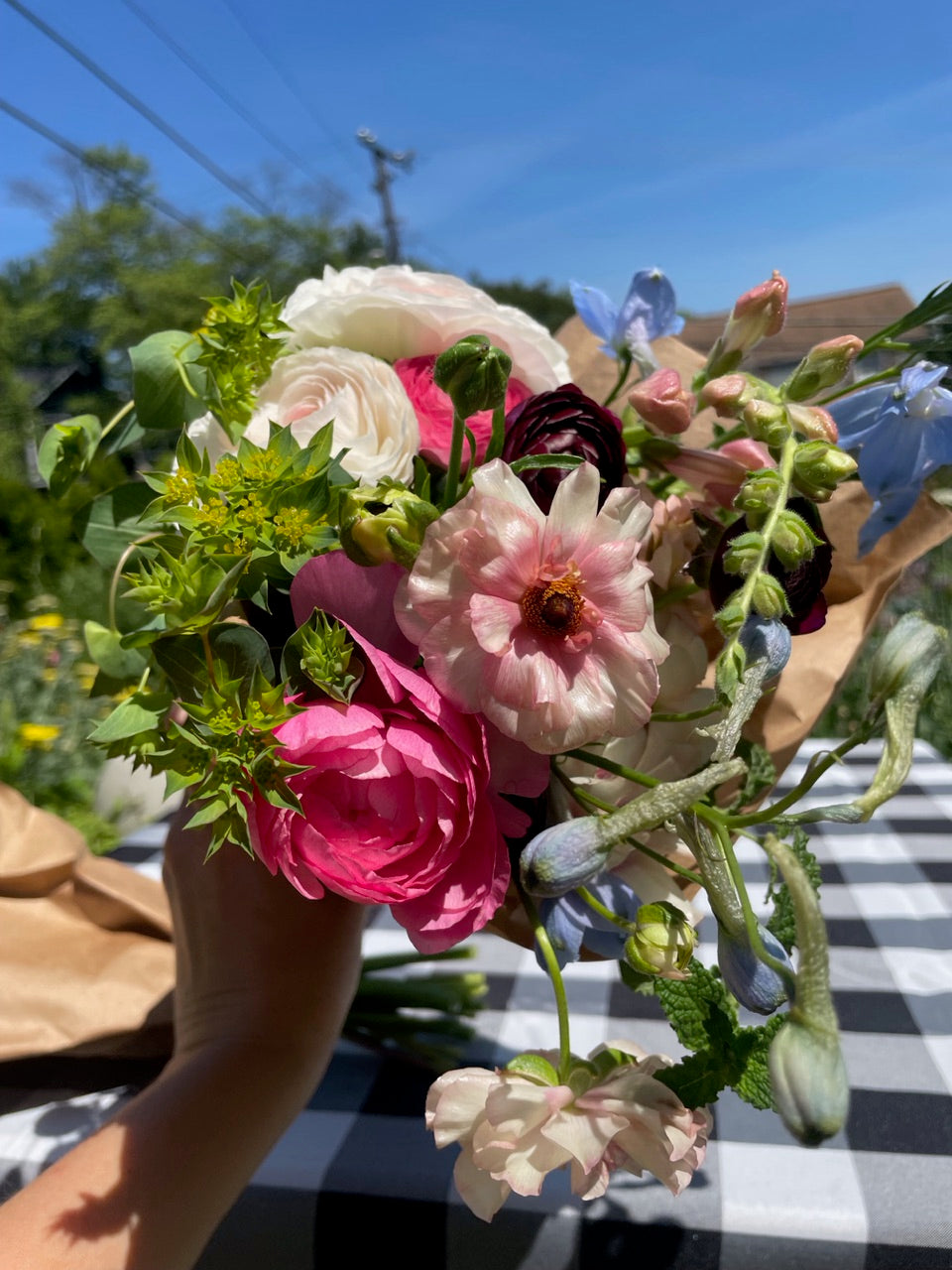 In this post we talk Ariadne Butterfly Ranunculus flower favorite – The ...