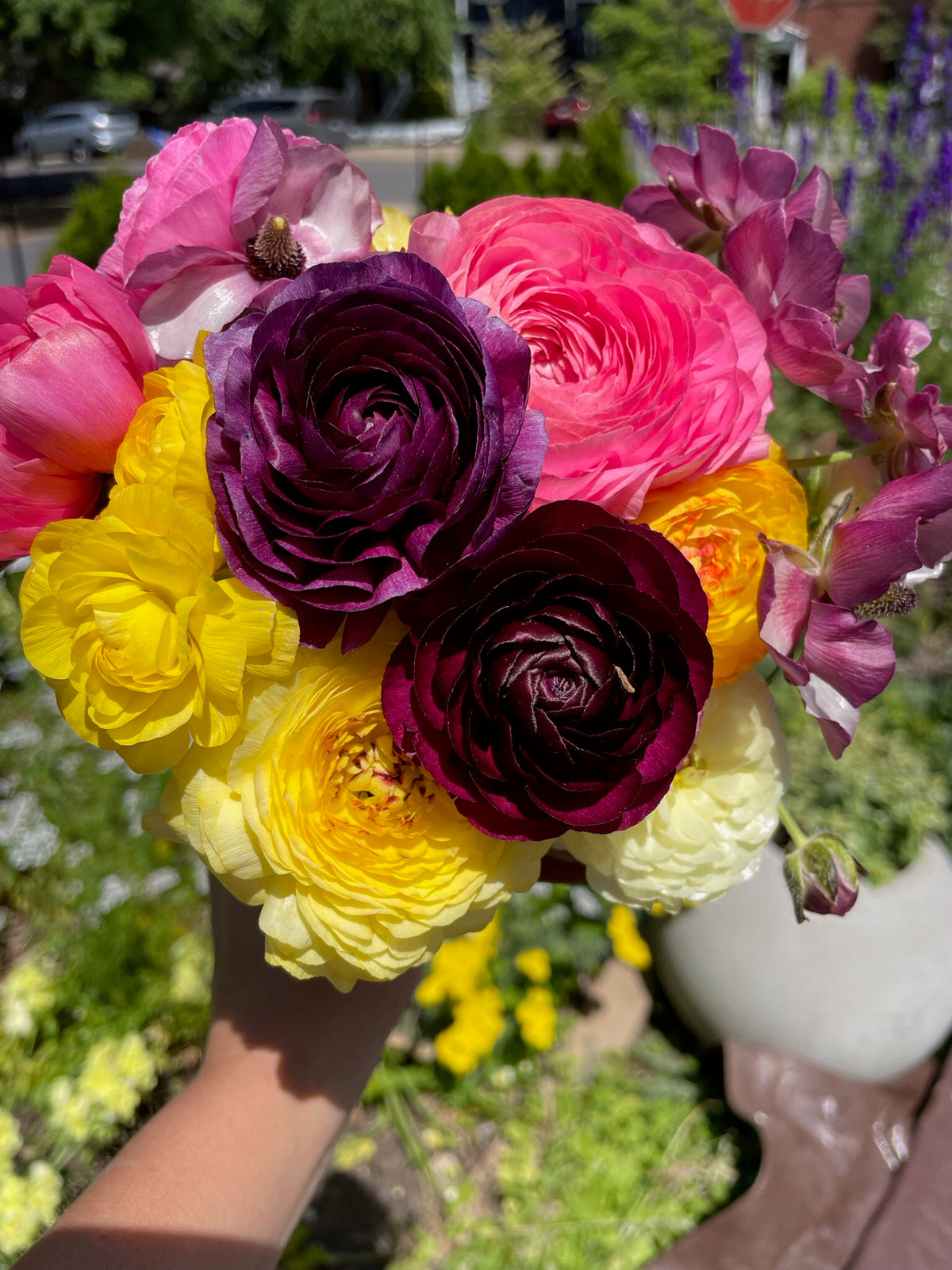 Shop Ranunculus - The Happy Hour Flowers