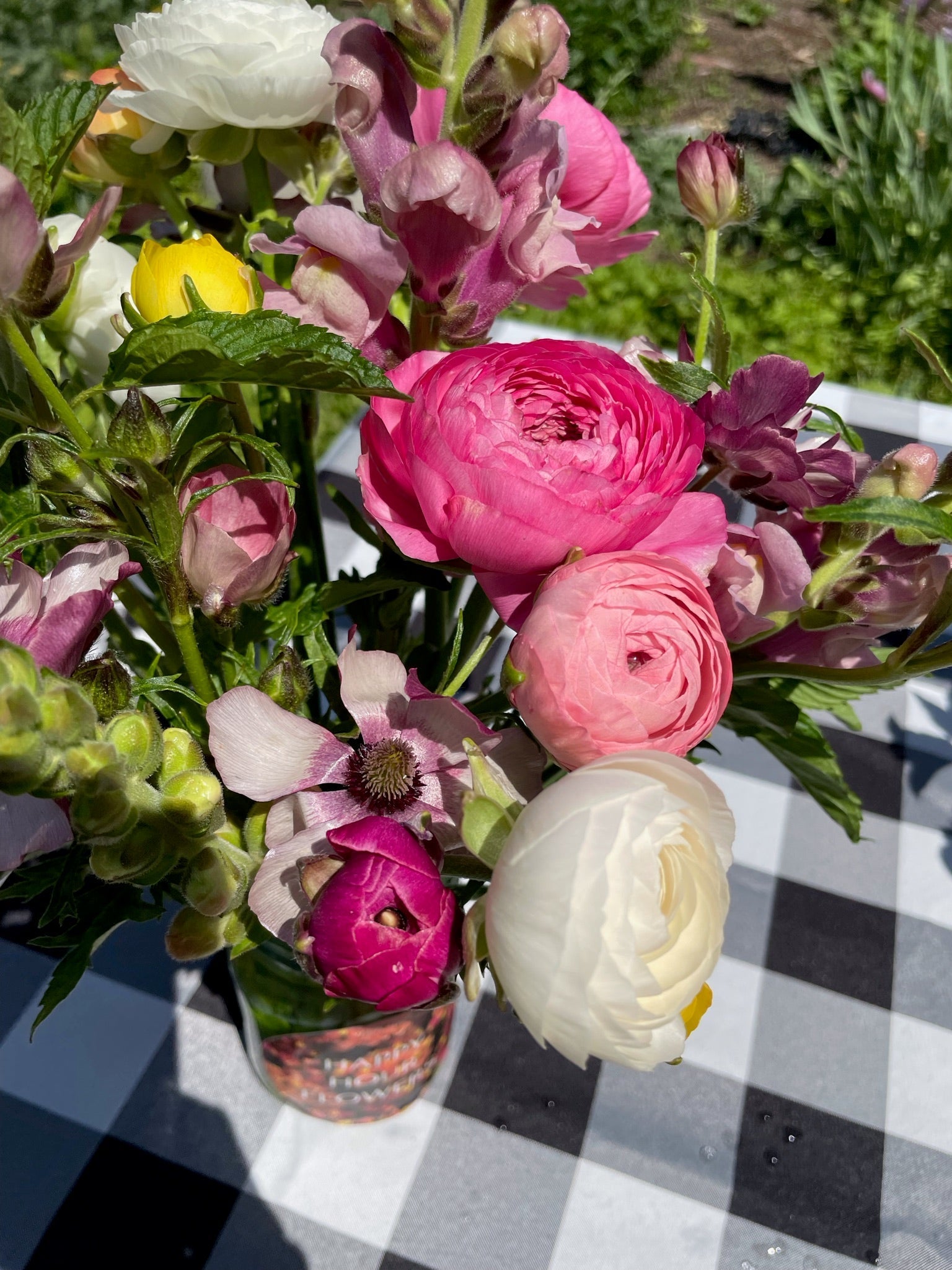 Clone Ranunculus Lollipop – The Happy Hour Flowers